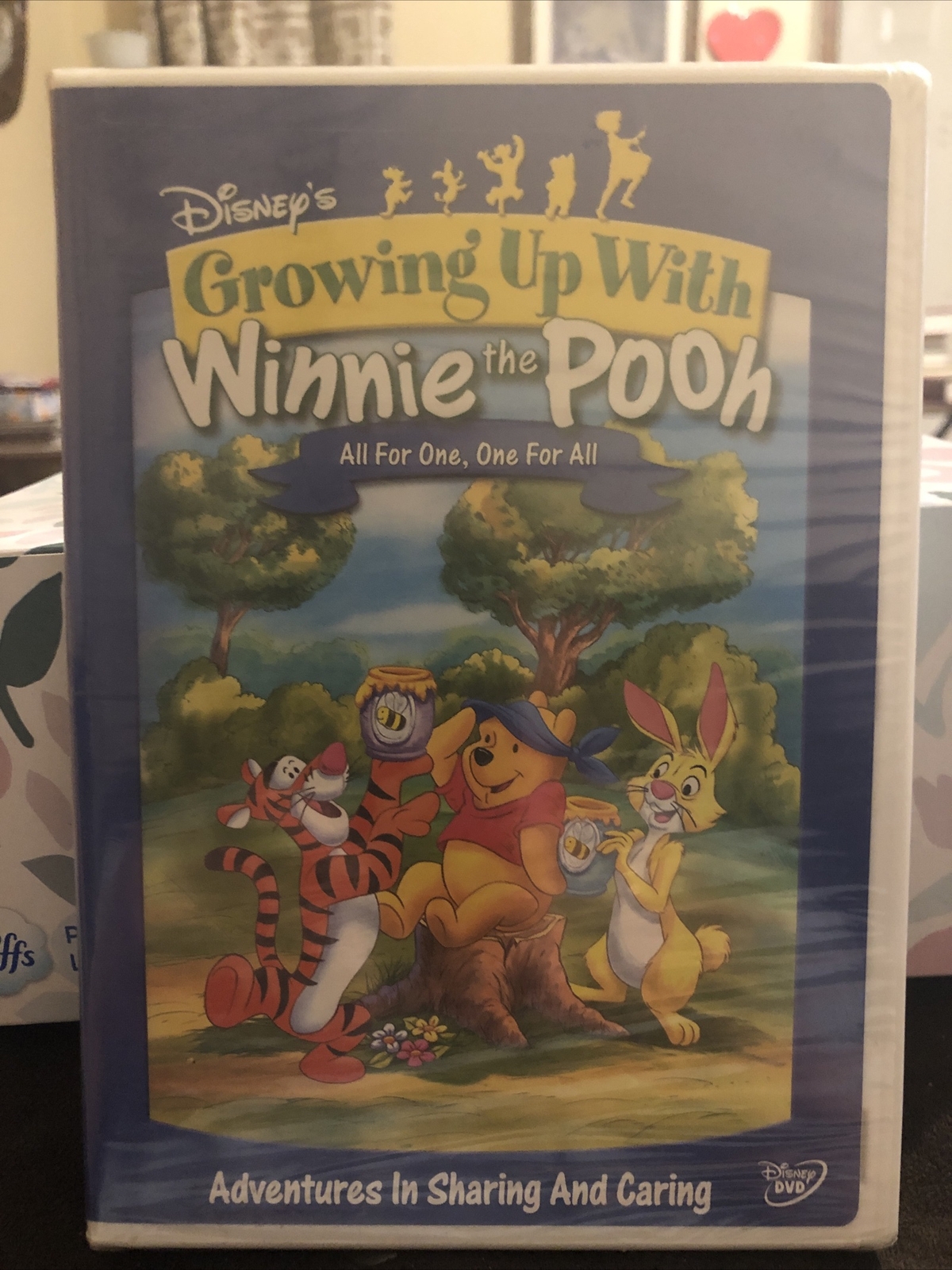 Winnie The Pooh 2022 Dvd