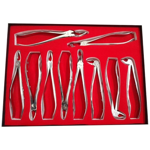 Dental Extracting Forceps Set of 10 Surgical Stainless Steel Tooth ...