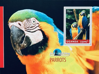 UGANDA PARROTS STAMPS SHEET 2014 MNH BLUE AND YELLOW MACAW BIRD PARROT ...