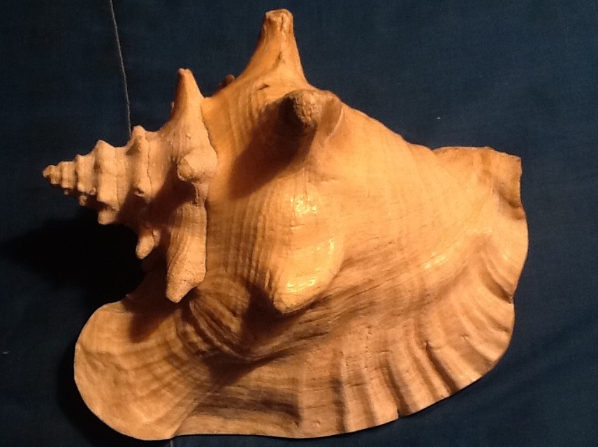 Vintage 7 inch Real Conch Sea Shell Night Light Table Lamp Shade ...