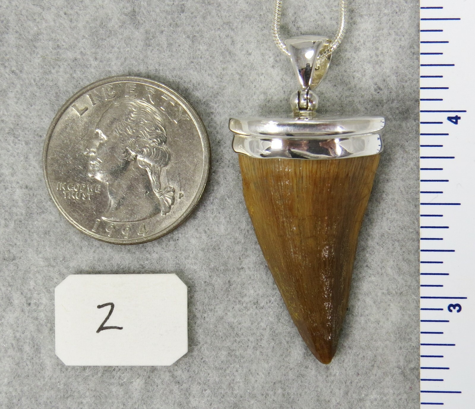 Dinosaur MOSASAURUS TOOTH PENDANT $79 Sterling Silver Jewelry STARBORN ...