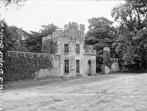 Drishane Convent Lodge, Millstreet, Co. Cork c1900 Ireland OLD PHOTO | eBay