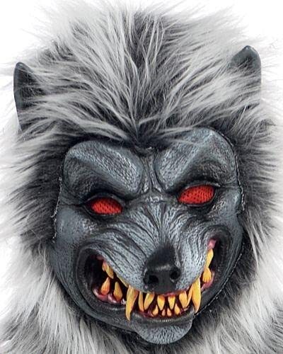 Boys Medium Hungry Howler Werewolf Costume Outfit Halloween Party Wear ...