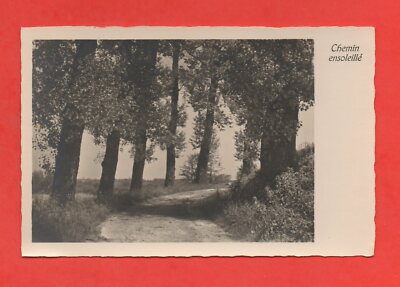 Chemin ensoleillé (K3367) | eBay