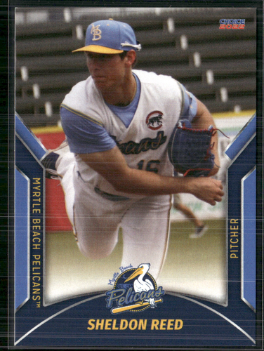 Sheldon Reed 2022 Myrtle Beach Pelicans Team Set | eBay