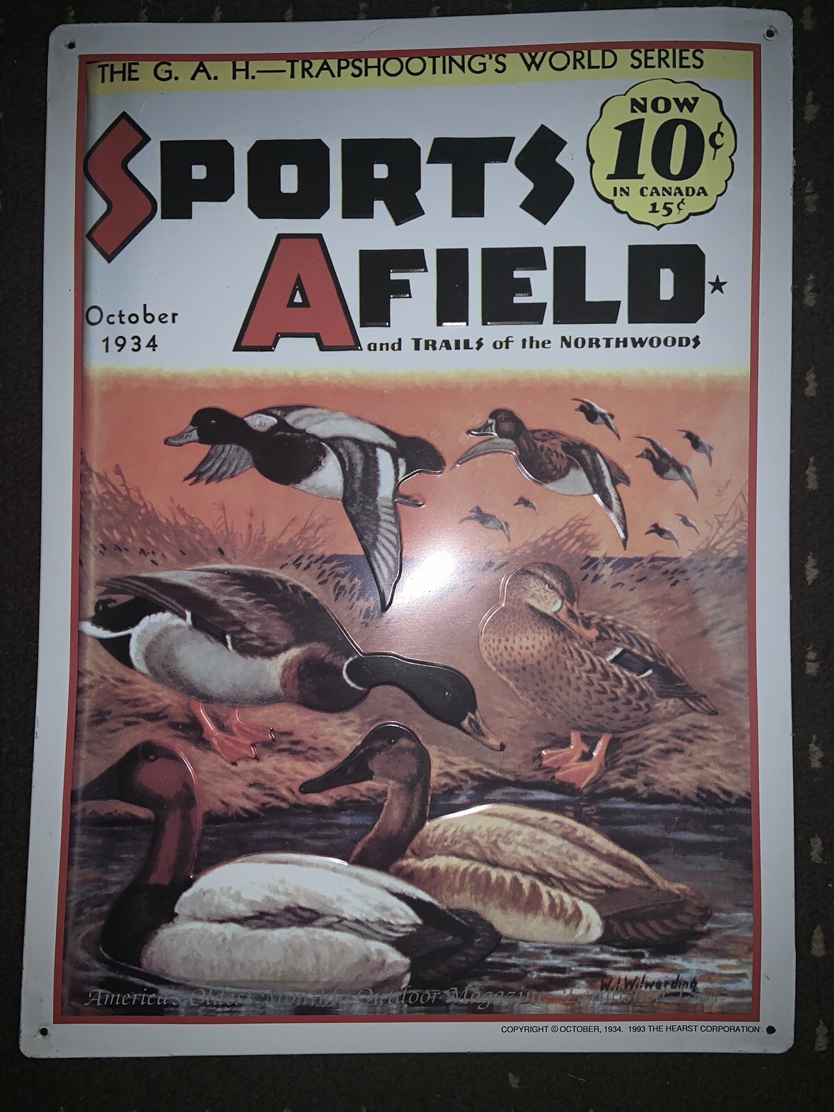 Vintage Sports Afield Ducks Hunting October 1934 Metal Tin Sign Man ...