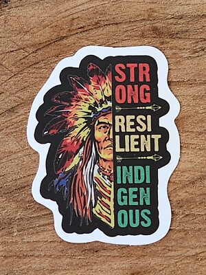 Native American Sticker Indian Sticker Native Sticker Chief Sticker | eBay