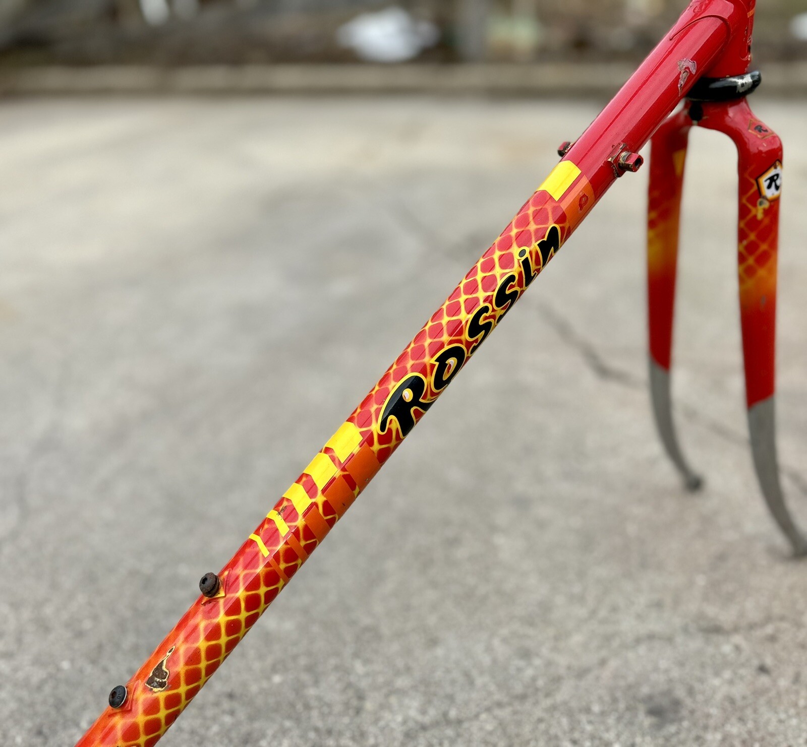 Columbus SPX Rossin Frameset Vintage Bike Lugged Frame Fork Pantograph ...