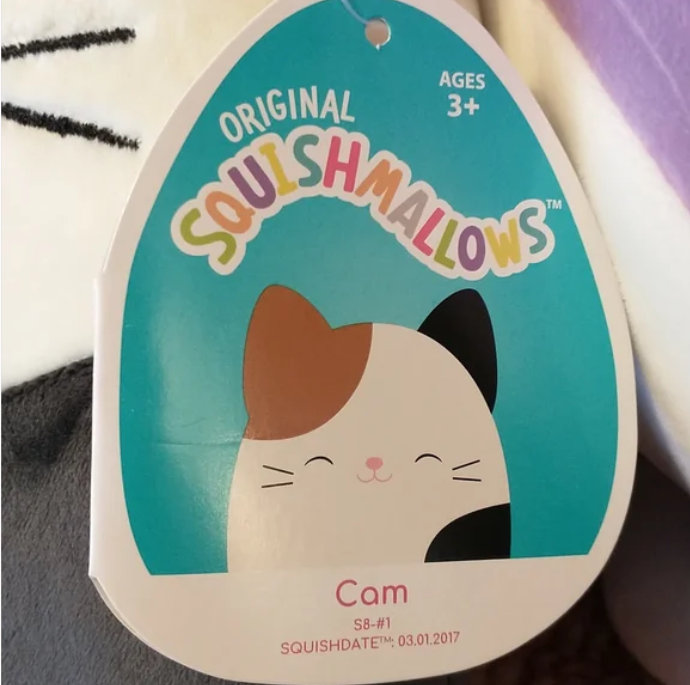 Squishmallows 8" Cameron The Cat Stuffed Animal Plush NWT - USA SELLER ...
