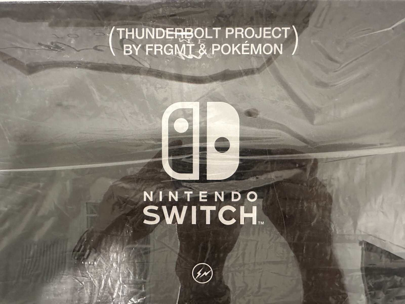 Rare Limited Special Edition Thunderbolt Project FRGMT Pokemon Nintendo ...