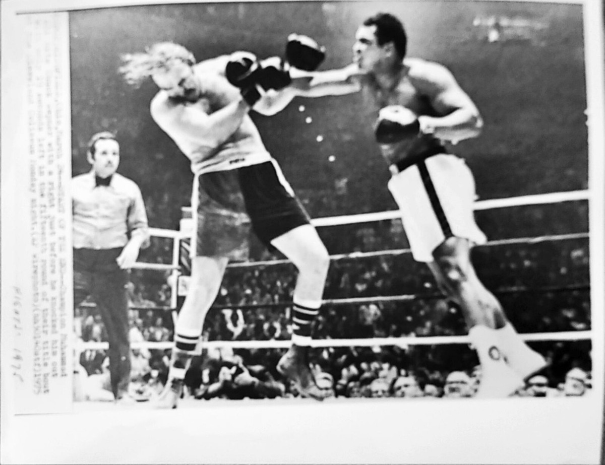 Imagens De Boxe Rochoso