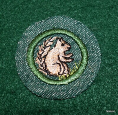 GIRL SCOUT PROFICIENCY BADGE - LAND ANIMAL FINDER - BRIGHT MEDIUM GREEN ...