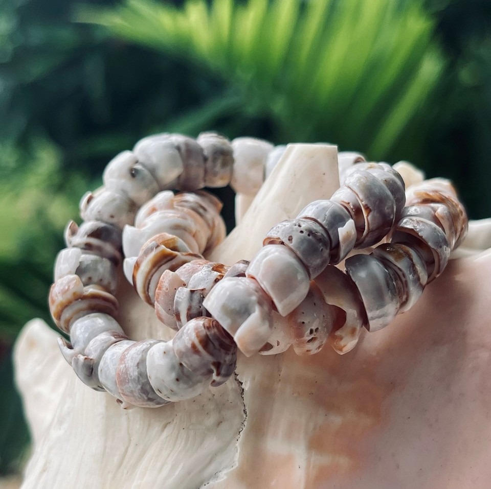 da Hawaiian Store Natural Cone Puka Shell Stretch Bracelet (Choose ...