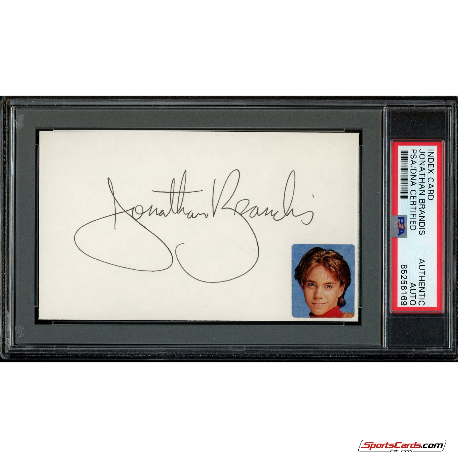 Stephen King Autographed Memorabilia | Signed Photo, Jersey ...