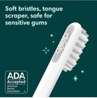 Quip Electric Toothbrush with Replaceable Brush Head-Marine Blue New ...