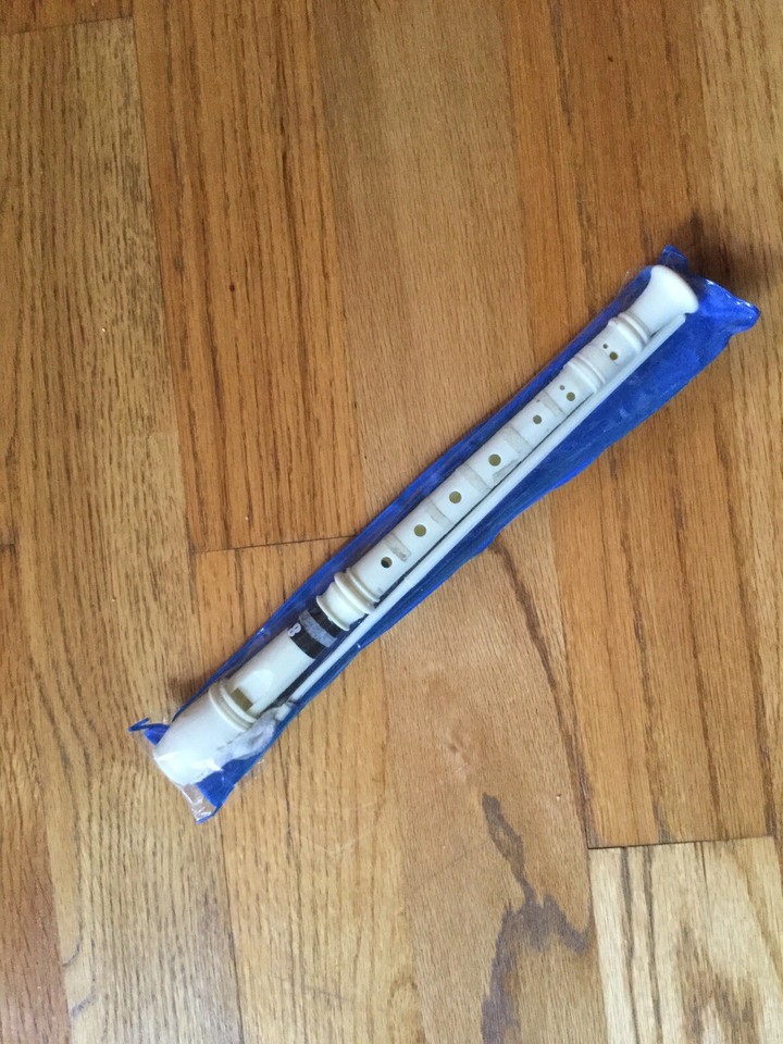 plastic recorder Used | eBay