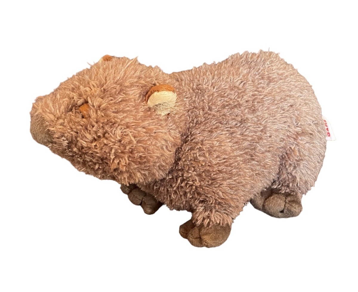 Wombat Toy Big W