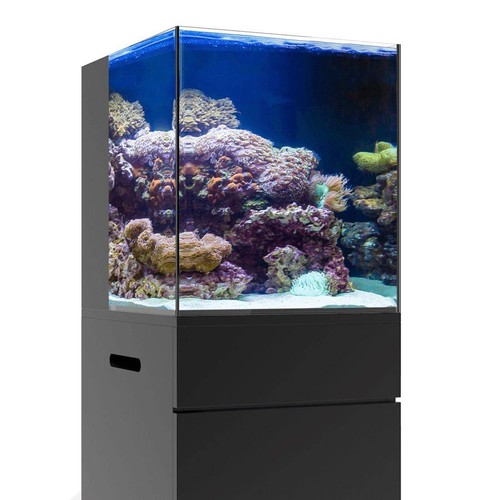 JBJ Aquarium - NANO RIMLESS - 10 GALLON ALL IN ONE TANK | eBay