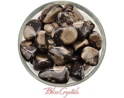 1 VATICAN STONE Tumbled Stone aka Frosterley Black Limestone #VS04 | eBay