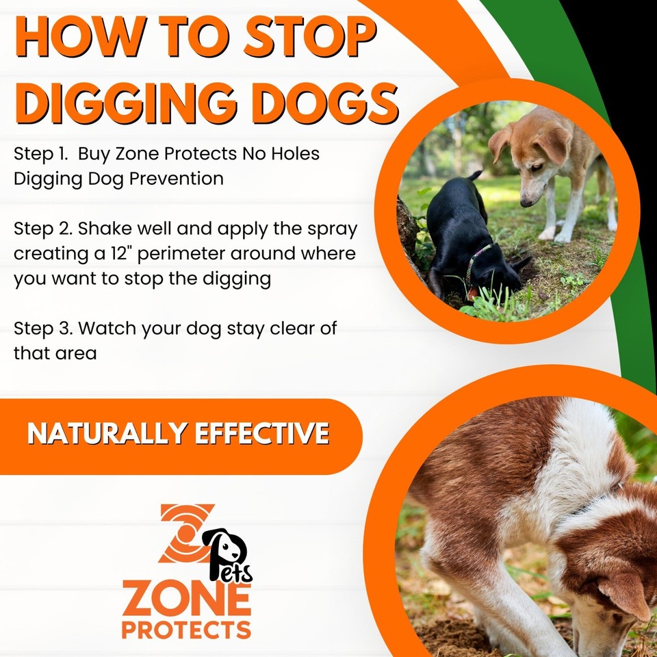 Stop Digging Dogs; Zone Protects No Holes Concentrate SAVES MONEY | eBay