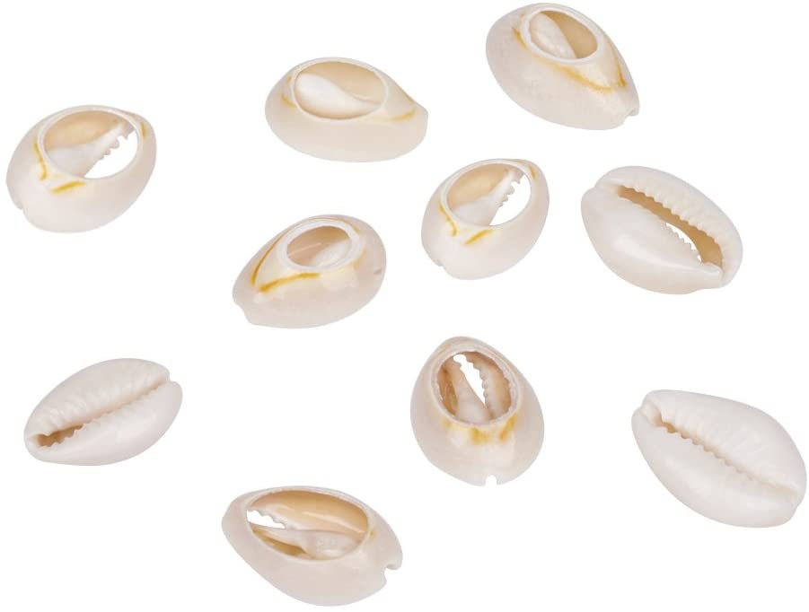 340pc/500g Natural Cowrie Seashell Beads Cut Back Money Shell Loose ...