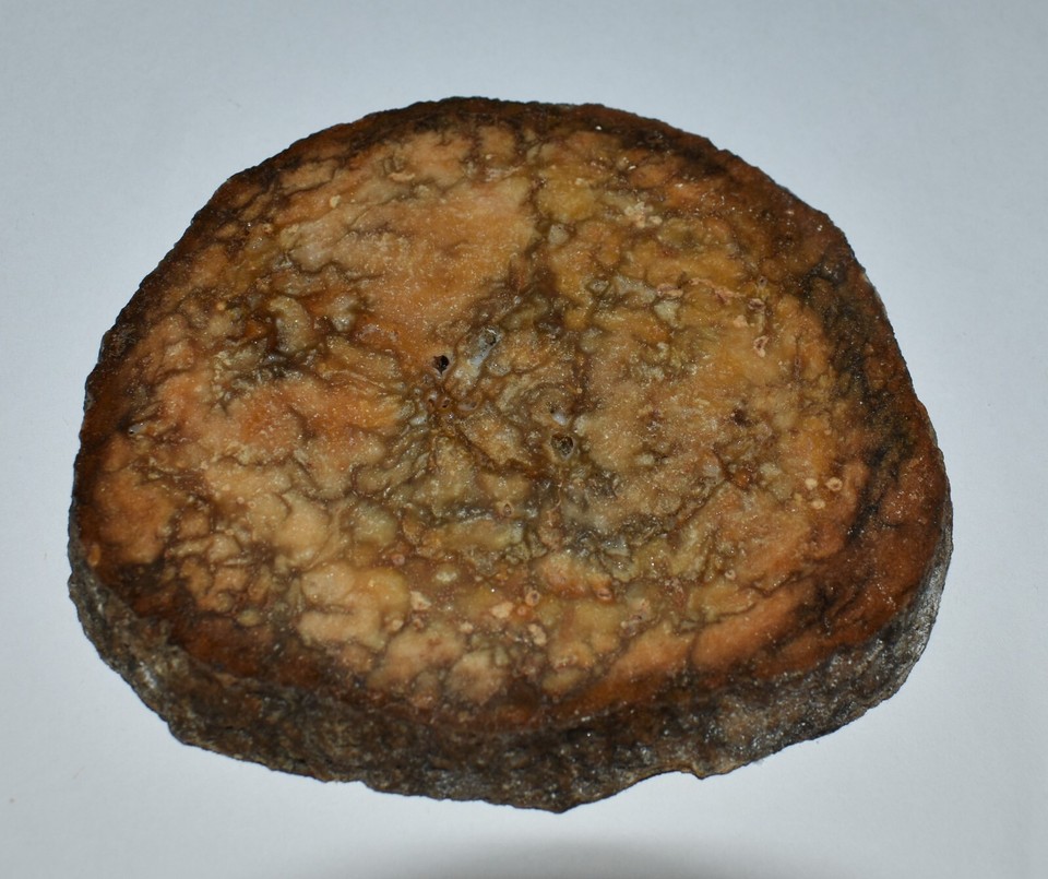 Brain Geode Drusy Chalcedony from North Carolina USA Polished Slab | eBay