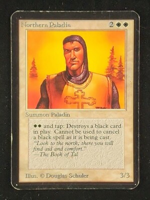 Northern Paladin - Alpha - Rare - LP - 1993 MTG Magic Vintage Old ...