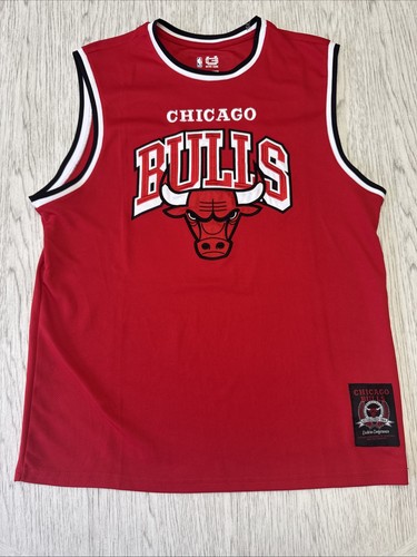NBA Basketball Chicago Bulls Eastern Conference Champion Jersey Size L ...
