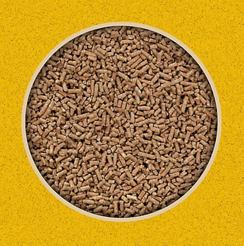 16% Layer Pellets Poultry Feed – Balanced Nutrition for Egg-Laying Hens ...