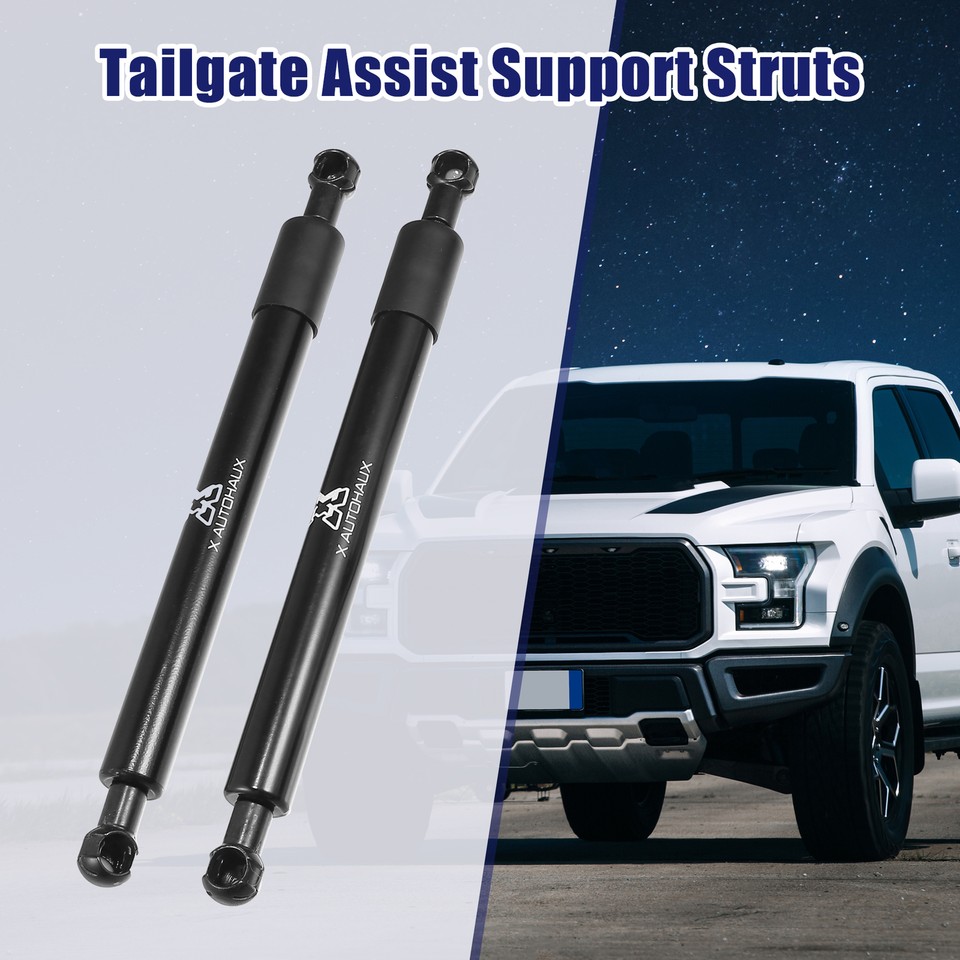 2 Set Rear Tailgate Assist Lift Support Struts for Ford F150 2015-2020 ...