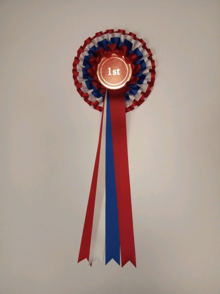 1st Place Rosette 4 Tier Dog Rosette,Horse Rosette, Equestrian Rosette ...