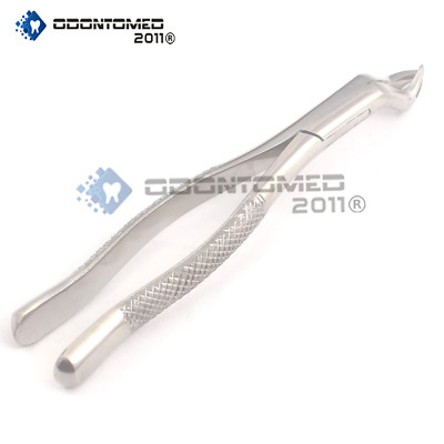 Dental Extracting Forcep 88r Molar Tooth Extraction Surgical ...