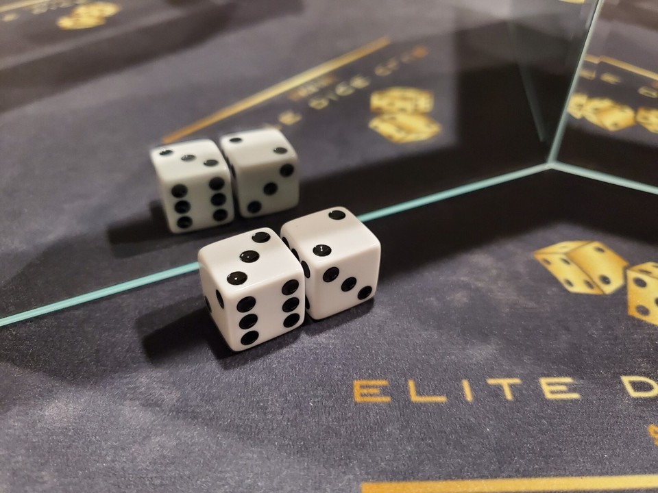 Loaded Dice Trick Dice Gaffed Dice Magic Dice Weighted Dice (2-3-6s ...