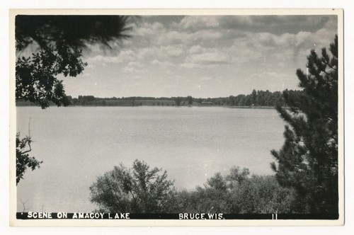 Scene at Amacoy Lake, Bruce, Wisconsin RPPC | eBay