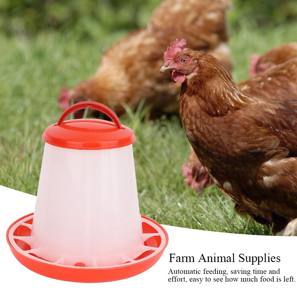 5PCS 1.5kg Chicken Bird Food Feed Water Automatic Drinking | eBay