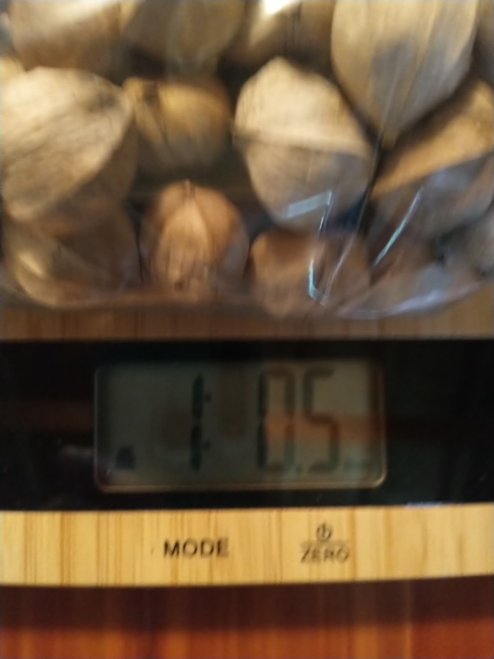 2025 Shagbark Hickory Nuts Ohio In Shell Float Tested And Dried 1 lb ...