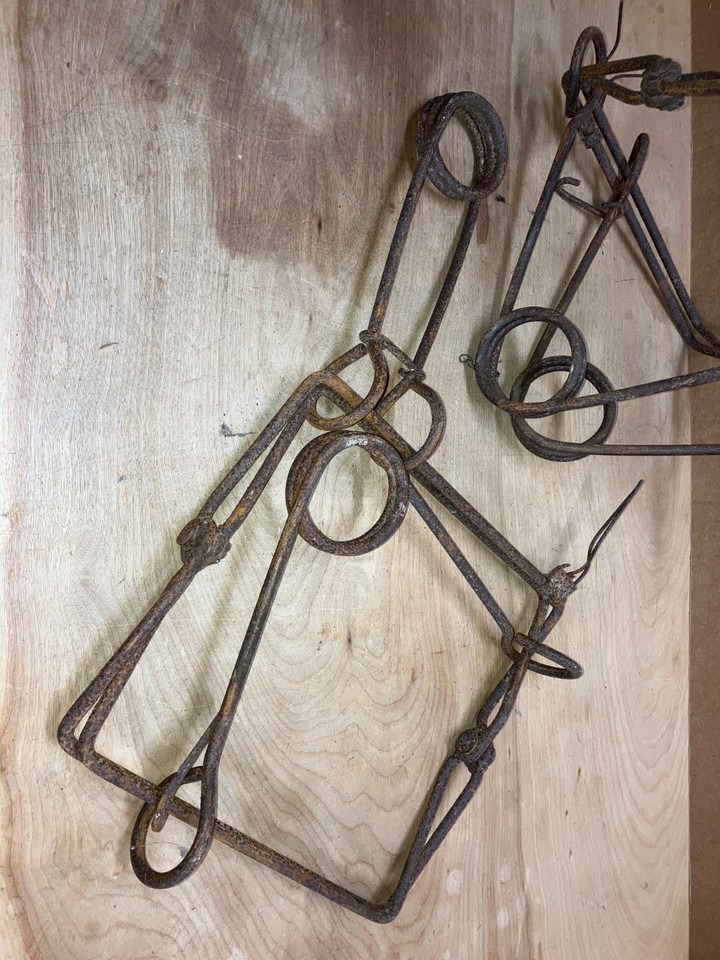 Lot of (2) Vtg Animal Body Gripping Traps 10" for beaver, fox, otter ...