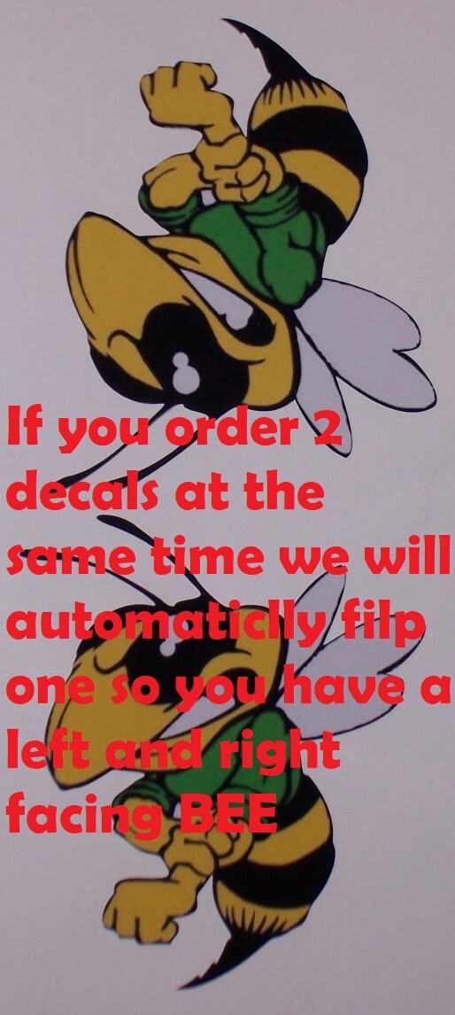 GREEN Shirt Angry Bee Decal Sticker FIt Ski Doo Scat Pack Charger ...