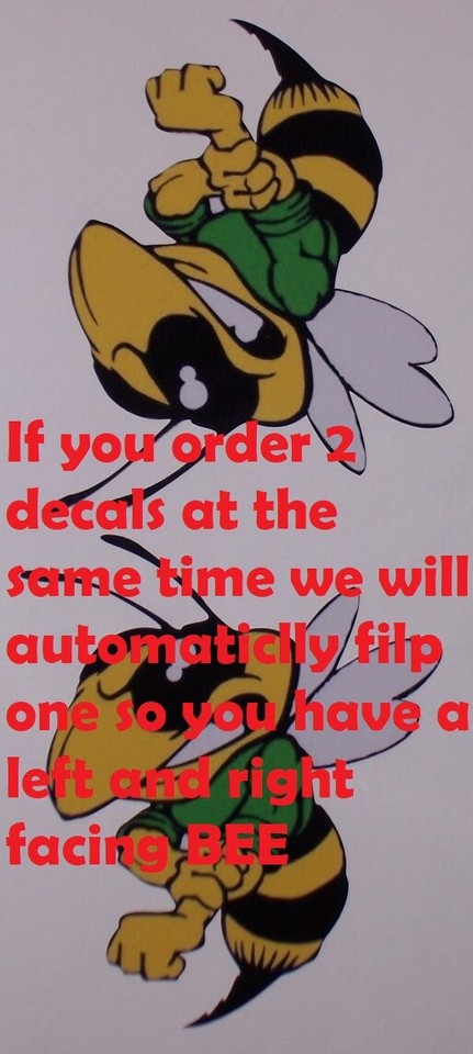 GREEN Shirt Angry Bee Decal Sticker FIt Ski Doo Scat Pack Charger ...
