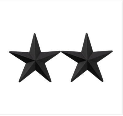 GENUINE U.S. AIR FORCE GENERAL STARS: BRIGADIER GENERAL - BLACK METAL ...