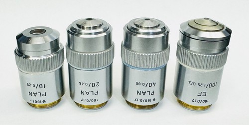 Lot Of Leitz Microscope Objective Lens EF 100X, Plan 40X, 20X, 10X ...