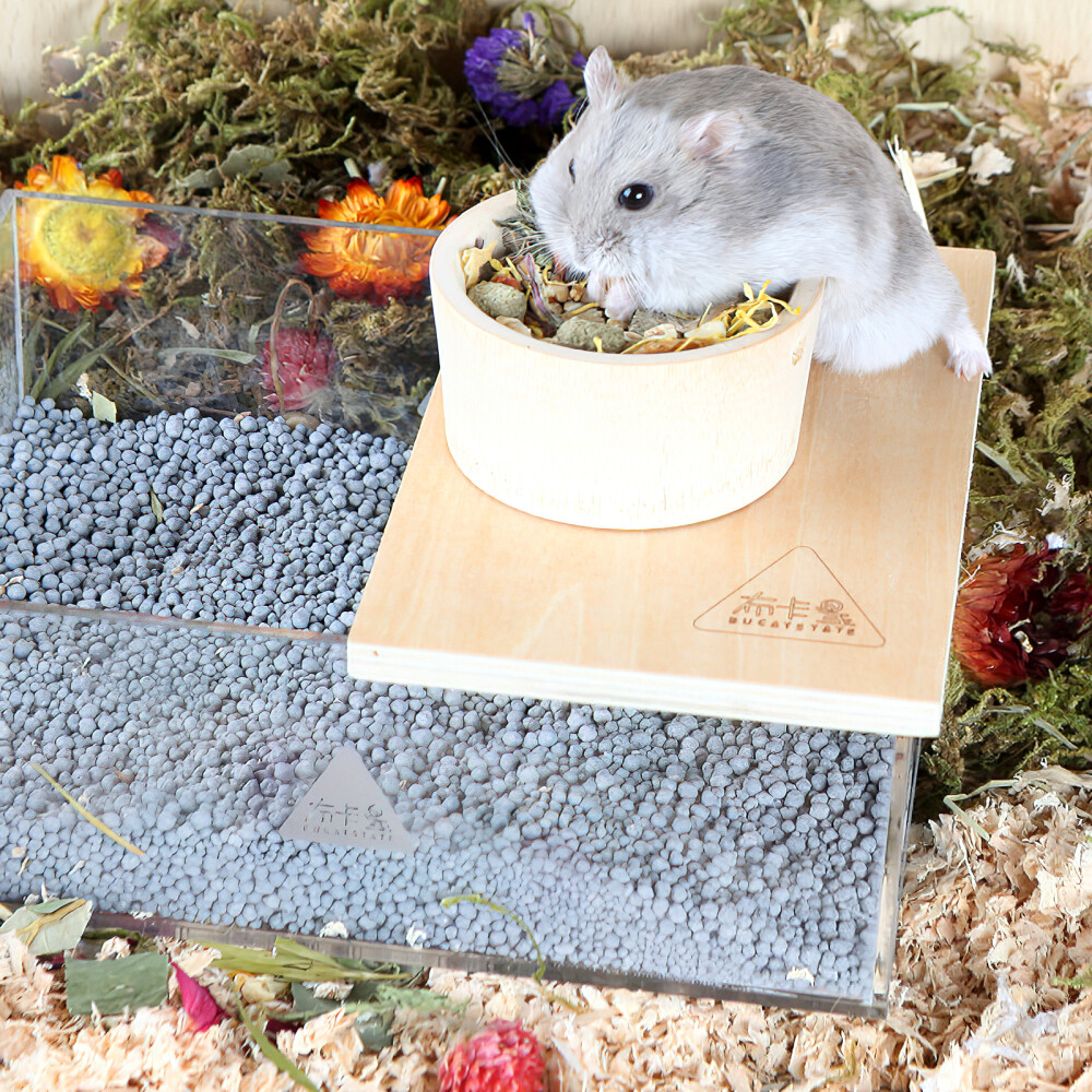 Hamster Sand Bad Box - Acrylgraben für Kleintiere | eBay