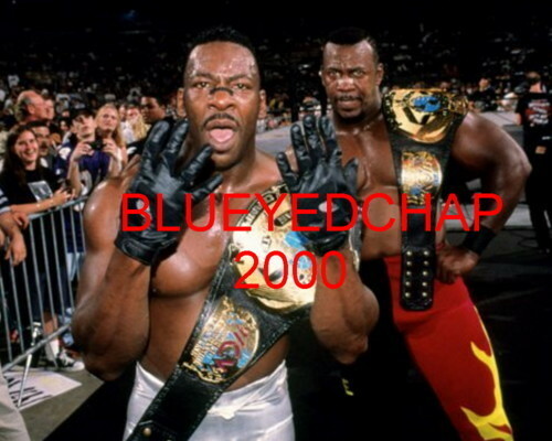 HARLEM HEAT WRESTLER 8 X 10 WRESTLING PHOTO WWF WCW | eBay