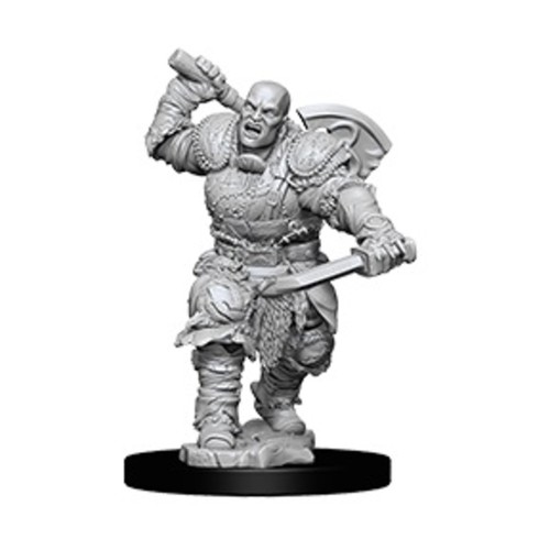WizKids D&D Mini 28mm Goliath Male Fighter Pack New 634482735411| eBay