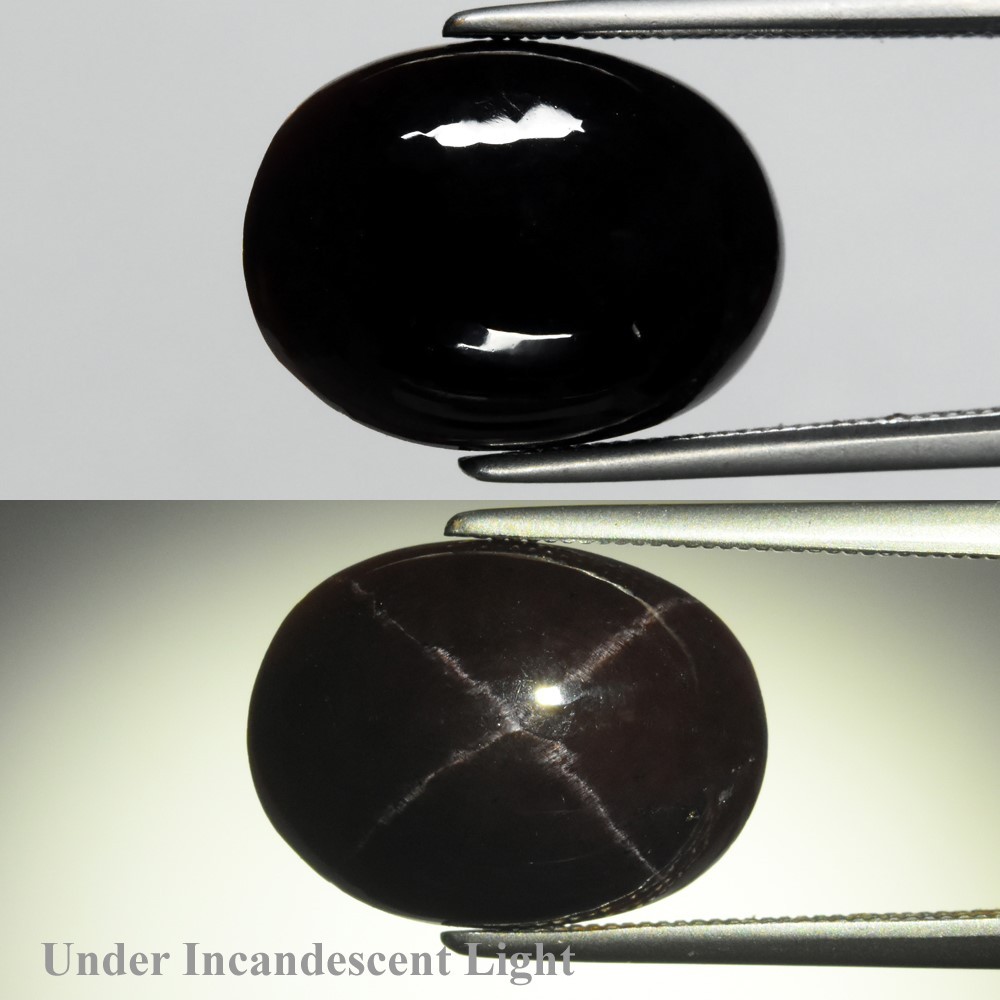 💎 9.90ct Oval Natural Dark Reddish Purple 4 Ray Star Rhodolite Garnet ...