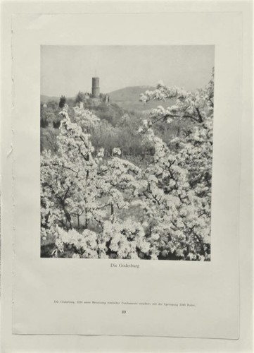 1952 Rare Old Vintage BOOK Photo 13th Century Bad GODESBERG CASTLE ...