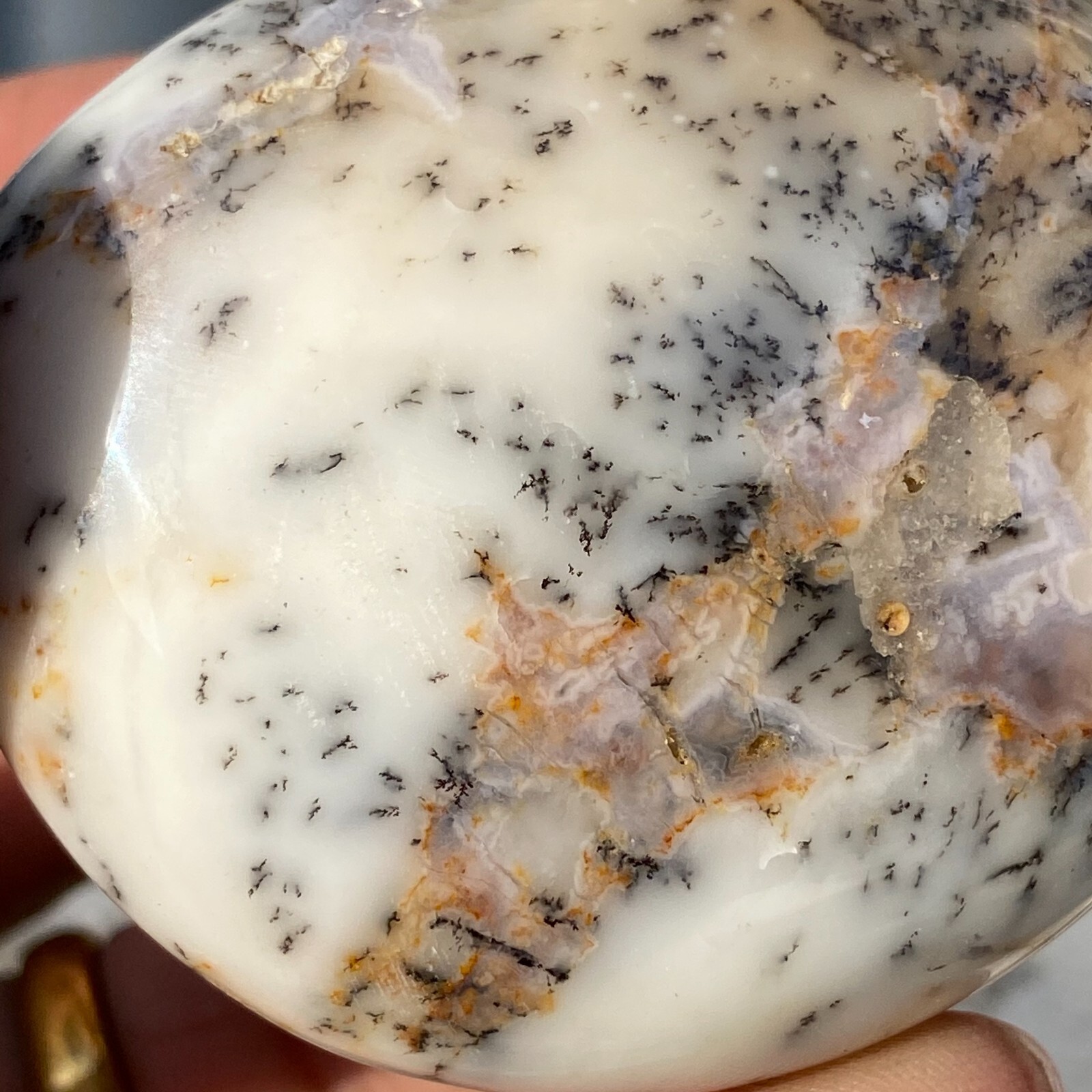 130g Dendritic Natural Dendrite Opal Agate Quartz Crystal Palm Stone ...