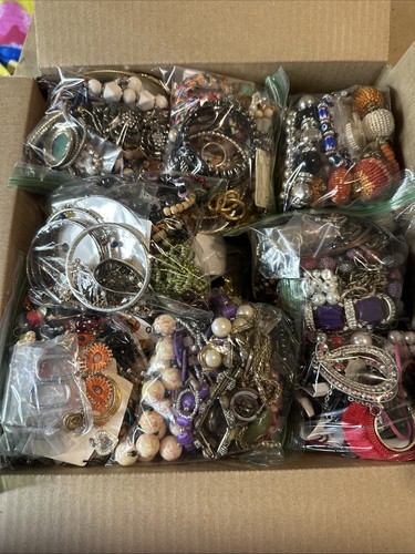 16.9 Pounds lbs. Bulk Jewelry Necklace & Bracelet Brooches Earrings Etc ...