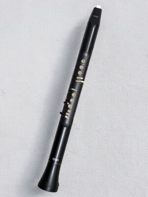 AKAI Professional EWI Solo Black Digital Wind Instrument Synthesizer | eBay