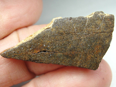 NWA 5020 Meteorite H4-W3-S2 Chondrite - G039-0056 - 7.00g COA - Rare ...
